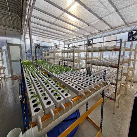 Vertical Hydroponics Nft Pipe Gutter System China Hydroponics System