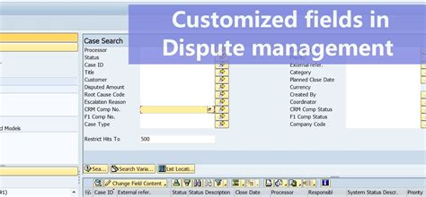 sap abap central customized fields in dispute management of fscm