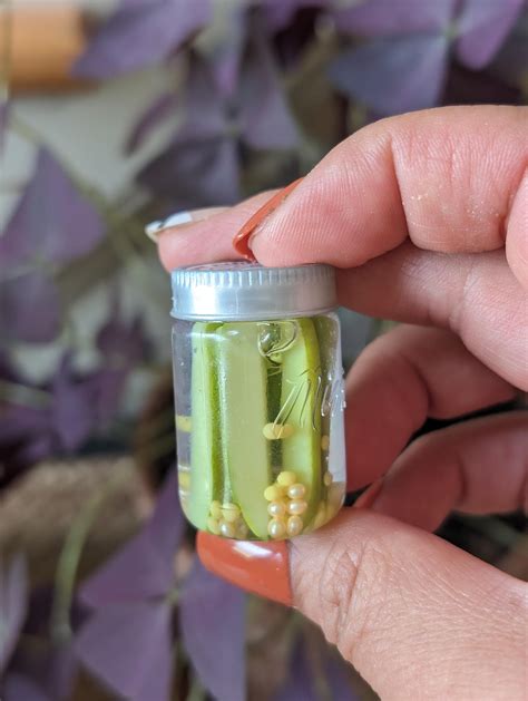 Pickles The World Is A Giant Pickle