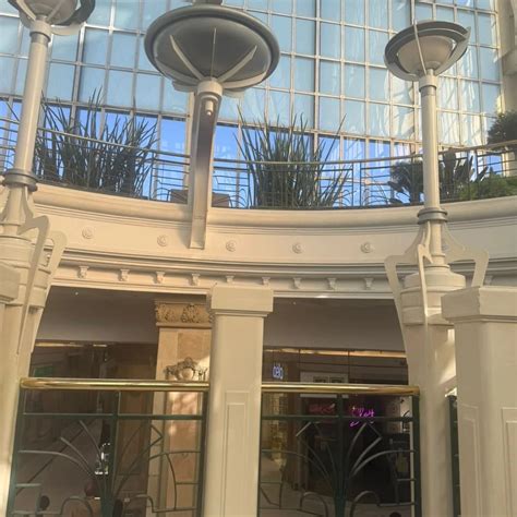 Snothile Snothile1560 • Instagram Photos And Videos