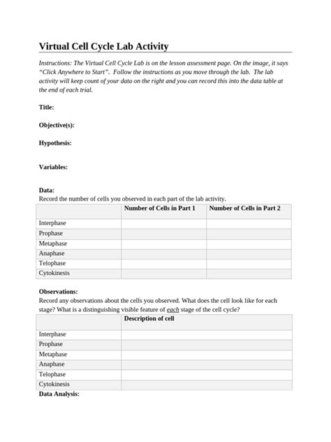 03 01 Virtual Cell Cycle Lab Report Template Pdf