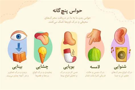 29 بازی حسی برای تقویت حواس پنجگانه کودکان بازی نورولند