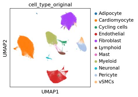 Spatial Deconvolution Single Cell Best Practices