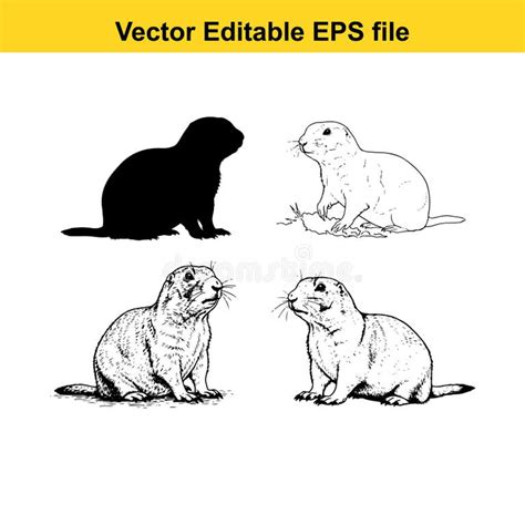 Marmot Vector Illustration Design Stock Illustrations 1760 Marmot