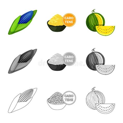 Vector Design Of Test And Synthetic Symbol Collection Of Test And