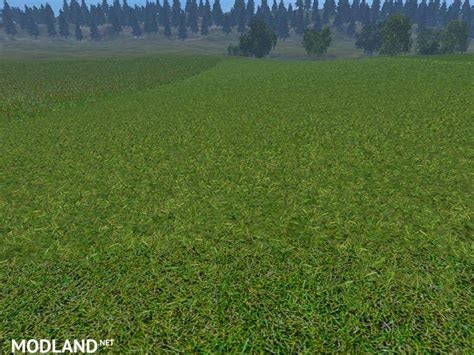 New Grass Texture V FS