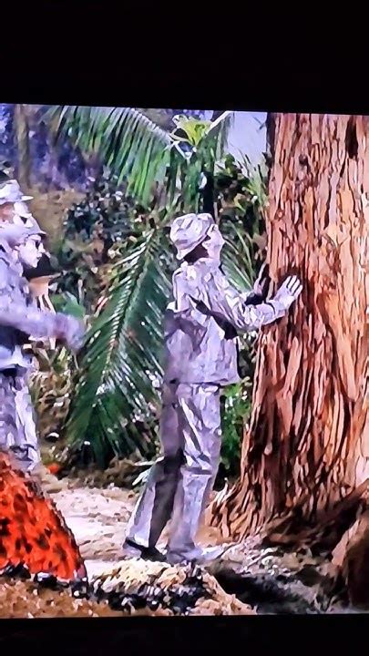 Funny Strange Shorts Gilligansisland Shortvideo Short 60s