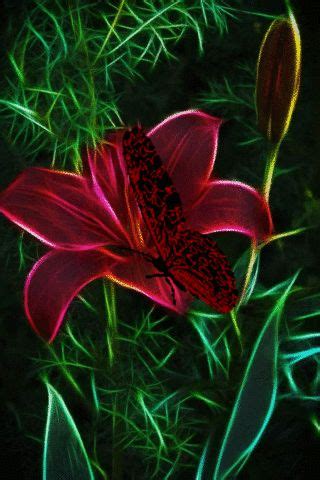 Анимация цветы бабочки | Rare flowers, Beautiful flowers, Amazing flowers