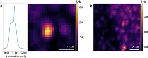 A Spectrum And Surface Enhanced Raman Image Of A 100 Nm Ps Particle