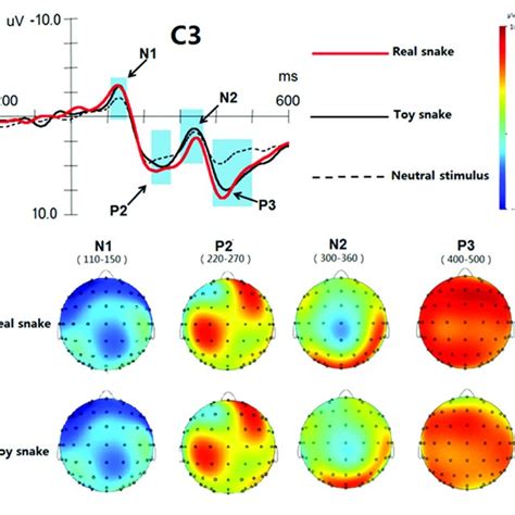 Brain Topographic Maps Of Erp Components Induced By Real And Toy