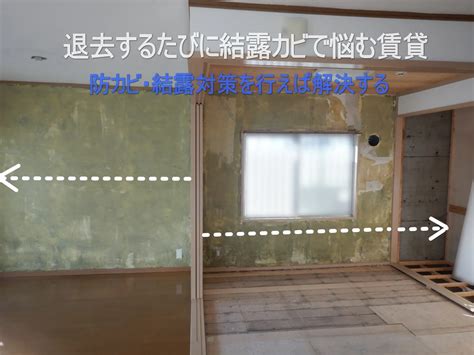 【東京都文京区】賃貸退去するたびにコンクリート結露カビが酷い部屋 ブログ 埼玉の防カビ工事なら「有限会社プレモ」