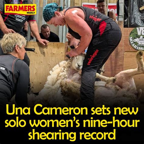 Farmers Weekly On Linkedin 🤩 Sheep Shearer Una Cameron Has Set A New World Record For A Solo Woman…