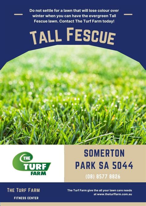 The Turf Farm On Tumblr