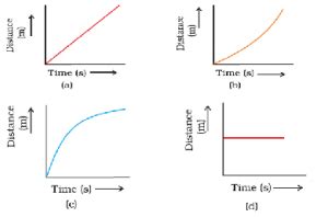 Distance Time Graphs Class 9 Science Sample Papers