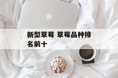 新型草莓 草莓品种排名前十 闪亮的我