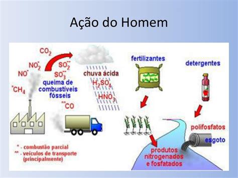 Ppt Ciclos Biogeoquímicos Powerpoint Presentation Free Download Id