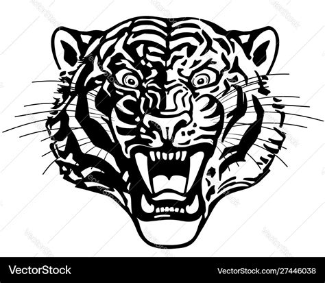 Head Roaring Tiger Black And White Royalty Free Vector Image