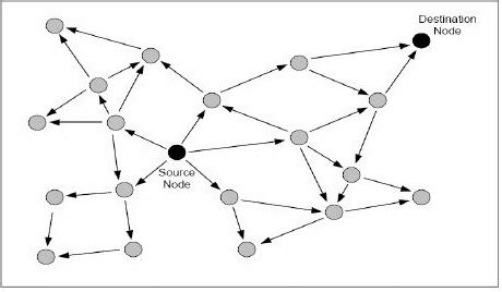 Participating Nodes In Total Flooding Algorithm Download Scientific Diagram