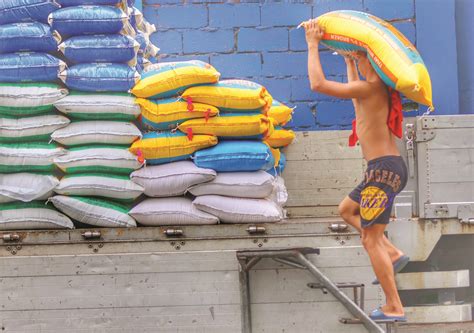 Nedas Transformation Into Depdev Signed Into Law Andrea E San Juan