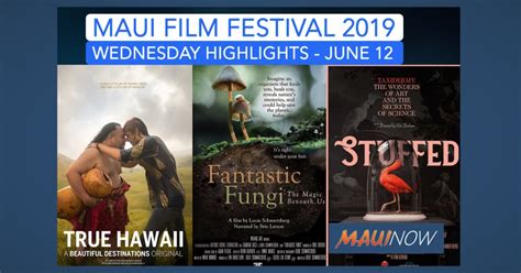 Wednesday Maui Film Festival Highlights Maui Now