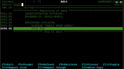 Cbl 8 Ibm I Server 30 Pts