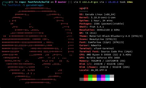 Fastfetch Help Needed Unsupported Software Aur And Other Garuda Linux Forum