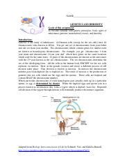 Genetics And Heredity Lab Docx NAME GENETICS AND HEREDITY Goals Of This Assignment To Become