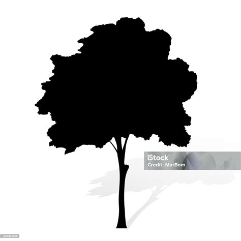 Silhouette Darbre Sur Fond Blanc Vecteur Vecteurs Libres De Droits Et