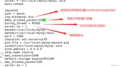 Mysql数据库之备份和恢复数据库全量备份与恢复 Csdn博客