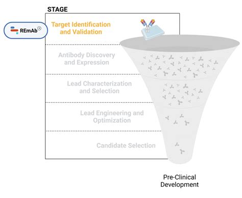 Antibody Drug Discovery From Target Id To Candidate Selection
