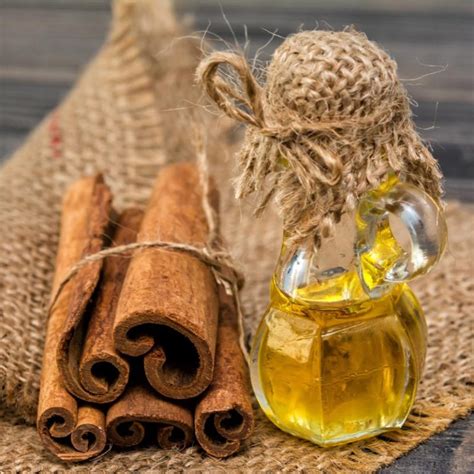 Tinh Dầu Quế Thế Giới Nông Sản Sạch Group