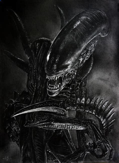 ﻿доге песочница красивых картинок красивые картинки Xenomorph