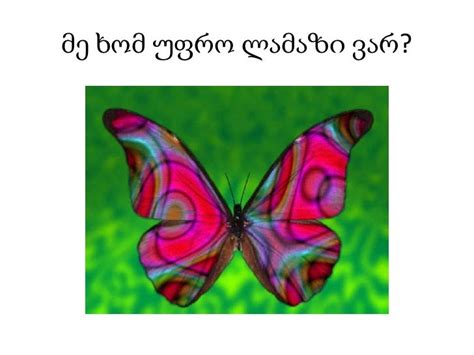 ყმაწვილი და პეპელა