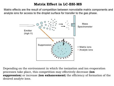 Matrix Effects In Metabolic Profiling Using Gc Lc Coupled Mass Spectr