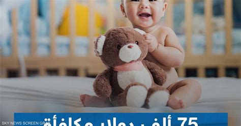 75 ألف دولار مكافأة إنجاب طفل في هذا البلد