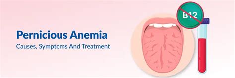 Pernicious Anemia Symptoms Diagnose And Treatment