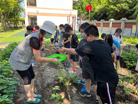 校園食農教育暨健康飲食網 臺中市政府教育局