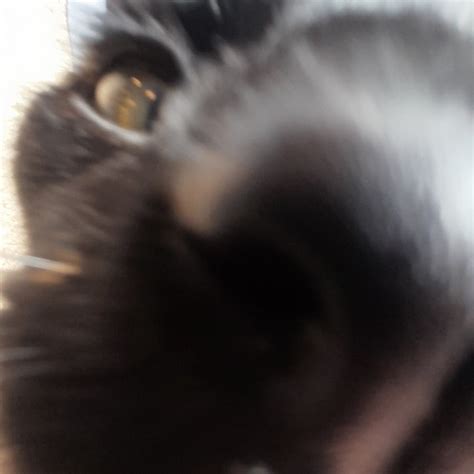 Just Ash Lol Youtube