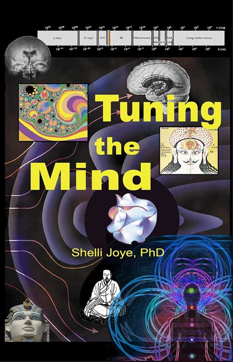Tuning The Mind Geometries Of Consciousness Holonomic Brain Theory