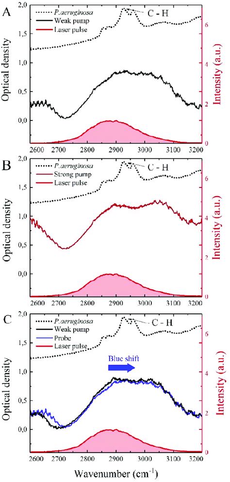 Dynamic Optical Density Spectra Of Ultrashort Pulses With A Wavelength