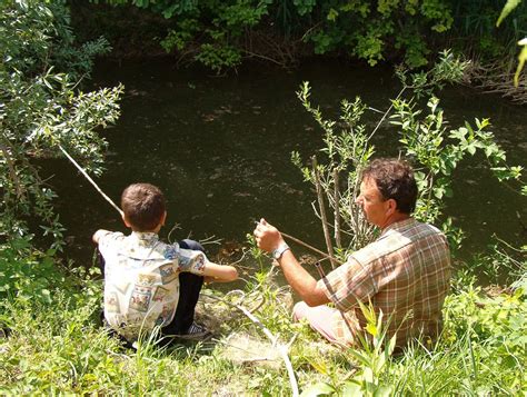 Florile Pasiunea Mea Cioca Boca Satul Unde Se Răsturnă Maşina Cu Ponta