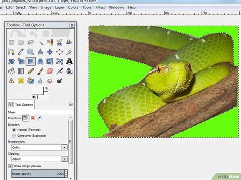 How To Remove A Background Using The Gimp Paths Tool 8 Steps Gimp