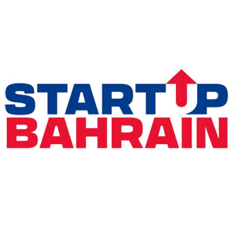 Startup Bahrain Investor Profile Lucidity Insights