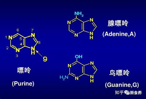 新食养：很多人不知道的这6种『高嘌呤食物』大户，切记！少吃！ 知乎