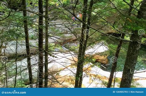 Hidden Spring Stock Image Image Of Woods Trees Water 126905793