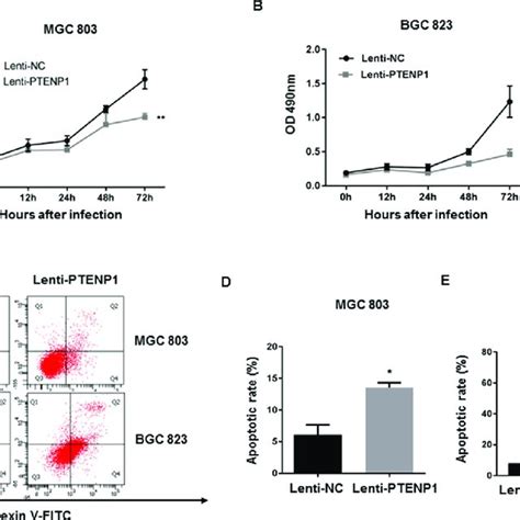 Ptenp1 Inhibited Cell Proliferation And Induced Apoptosis Ab Cell