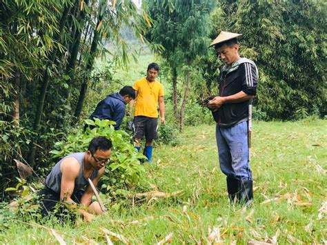 Lumang Primary School Home Facebook