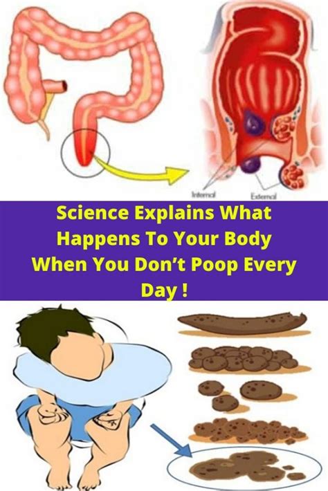 Science Explains What Happens To Your Body When You Dont Poop Every