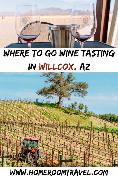 Wine Tasting In Willcox Arizona A Fun And New Wine Region Artofit