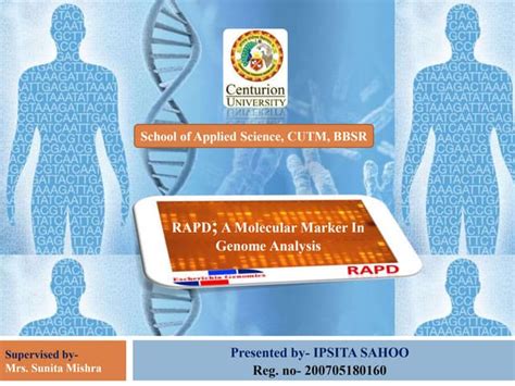 Rapd And Its Application Pdf
